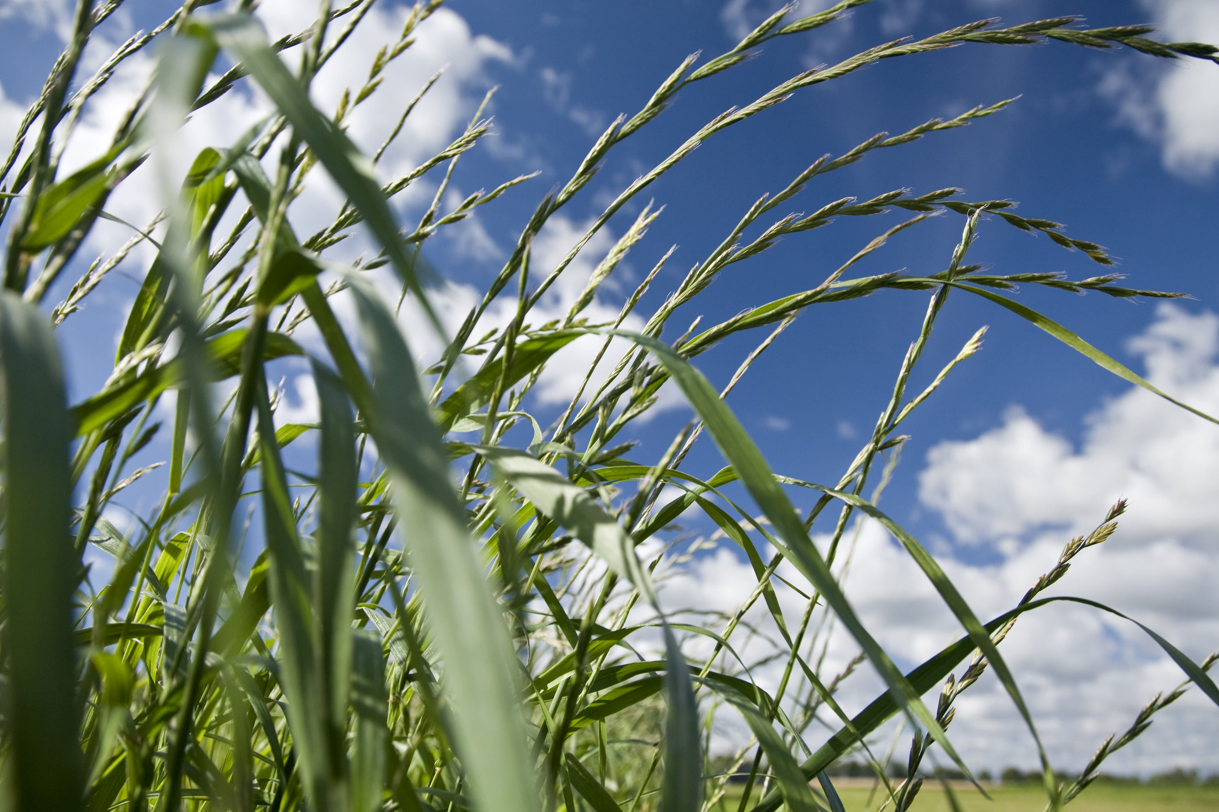 Administration & salg