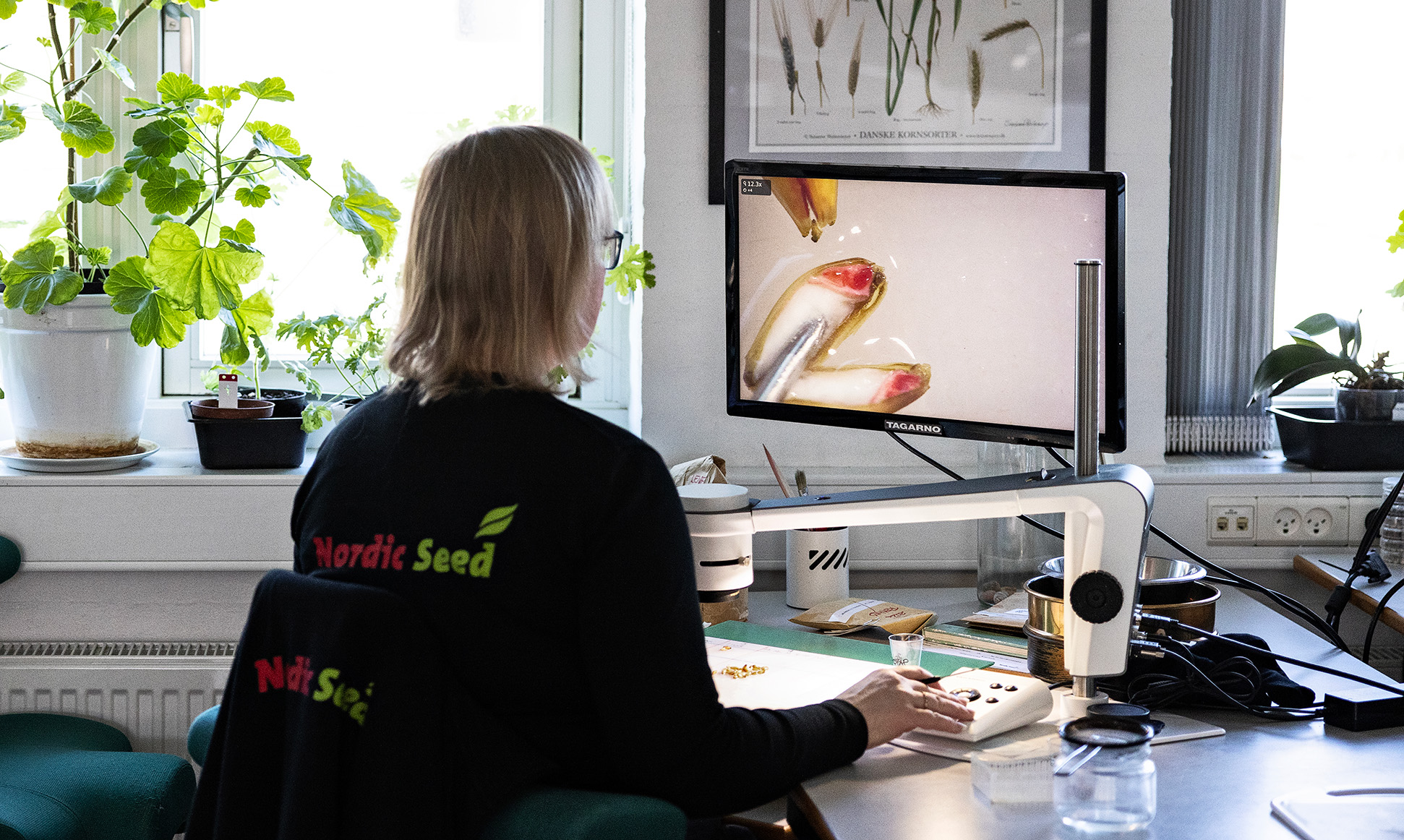 Seedlab